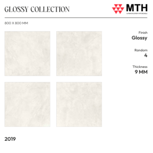 Gạch MTH Ấn Độ MS 2019 | Boride Tile