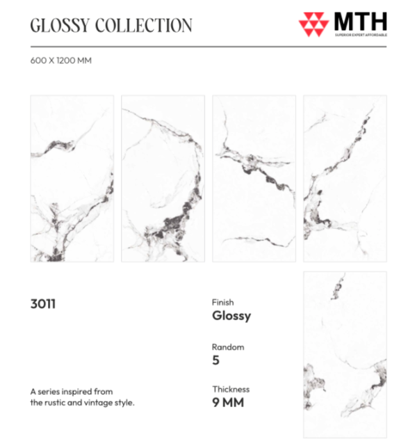 Gạch MTH Ấn Độ 3011 | Boride Tile